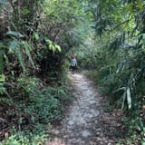Kemensah - Bukit Pau Extended Trail, Selangor, Malaysia - 401 Reviews ...