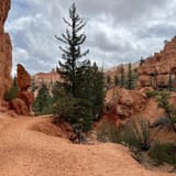 Navajo Loop Trail, Utah - 3,659 Reviews, Map | AllTrails