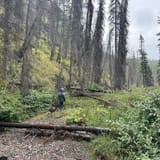 Morrell Falls National Recreation Trail, Montana - 507 Reviews, Map ...