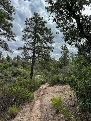2023 Best Off Road Driving Trails in Prescott | AllTrails