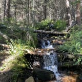 Butler Gulch Trail, Colorado - 2,485 Reviews, Map | AllTrails