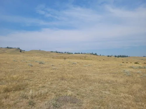 Best Hikes and Trails in Fort Walsh National Historic Park | AllTrails