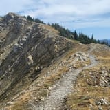 Mount Aeneas Summit Trail, Montana - 338 Reviews, Map | AllTrails