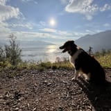 Bird Ridge Trail, Alaska - 969 Reviews, Map | AllTrails