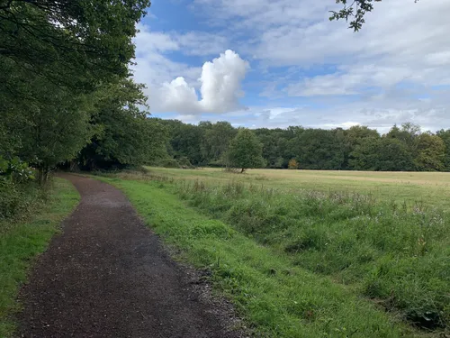 10 Best Walking Trails in Epping Forest | AllTrails