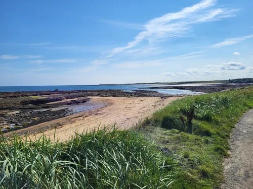 10 Best Trails, Walks, and Paths in Alnwick | AllTrails