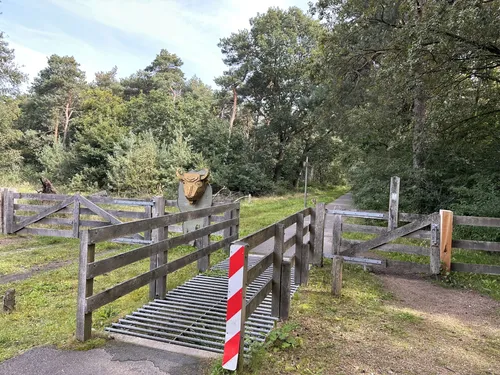 2023 Best Long Trails in De Maashorst | AllTrails