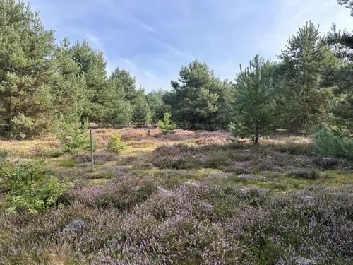 2023 Best Long Trails in De Maashorst | AllTrails