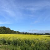 Mill End, Southend and Frieth Circular, Oxfordshire, England - 129 ...