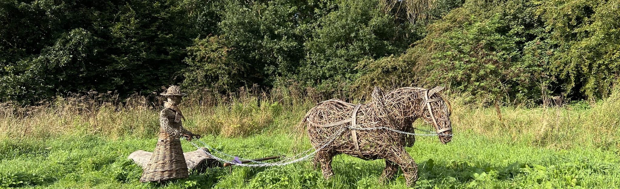 Hedley Hall Wood, Beamish Burn via Blue Trail Circular: 17 Reviews, Map ...