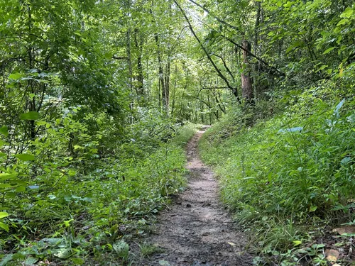 Best Hikes and Trails in Western Carolina University Trail System ...
