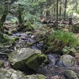 Ravenna Gorge Trail, Baden-Wuerttemberg, Germany - 343 Reviews, Map ...