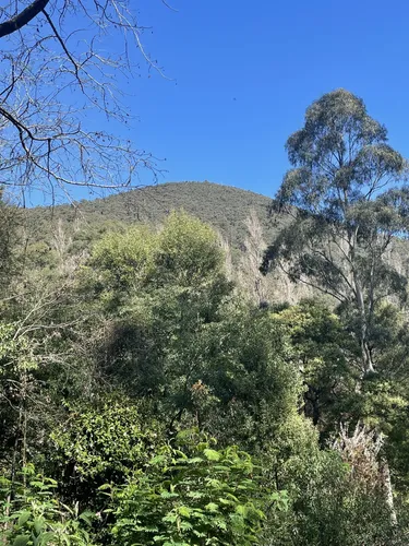 Best Hikes and Trails in Yarra Junction Railway Station Historic and ...