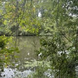 Chehaw Park Full Loop, Georgia - 34 Reviews, Map | AllTrails