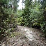 Chehaw Park Full Loop, Georgia - 34 Reviews, Map | AllTrails