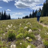 Kicking Horse to Nicomen Lake, British Columbia, Canada - 34 Reviews ...