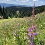 Kicking Horse to Nicomen Lake, British Columbia, Canada - 28 Reviews ...