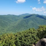 The Pinnacle and Flat Top Mountain, Virginia - 500 Reviews, Map | AllTrails