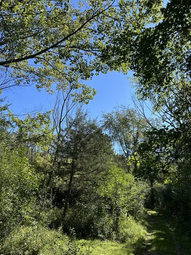 Best Hikes and Trails in Wildlife Prairie Park | AllTrails