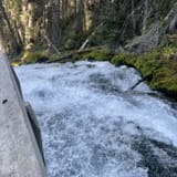 Karst Spring Trail, Alberta, Canada - 837 Reviews, Map | AllTrails