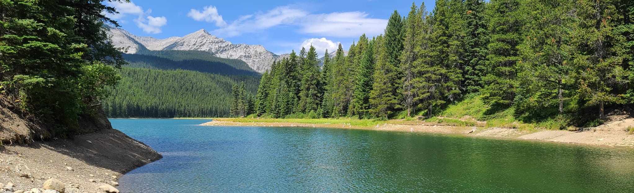 Allison Creek Falls: 464 foto's - Alberta, Canada | Wandelen - AllTrails