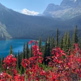 Marvel Lake Trail: Lake Magog Campground to Marvel Lake Campground ...