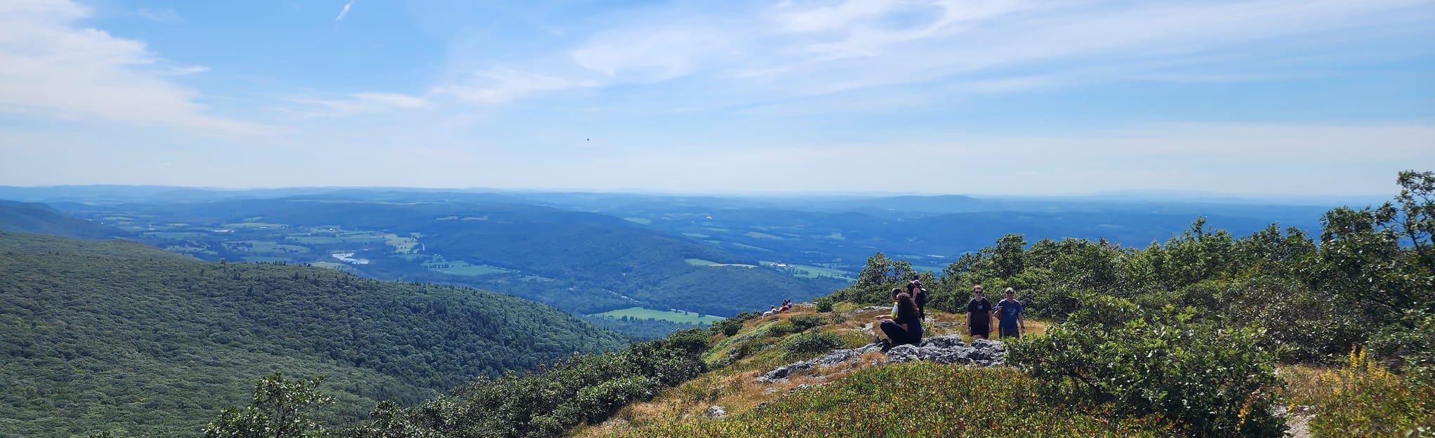 Alander Mountain via Robert Brook and South Taconic Trail: 215 Reviews ...