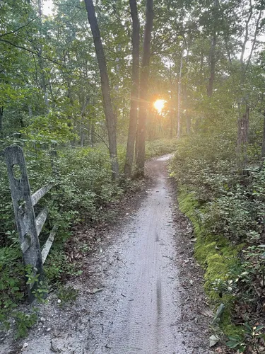 2023 Best Mountain Biking Trails in Howell Township | AllTrails