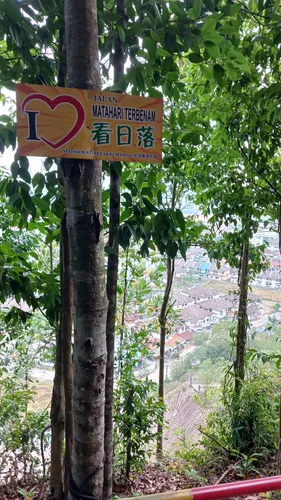 2023 Best Views Trails in Chukai | AllTrails