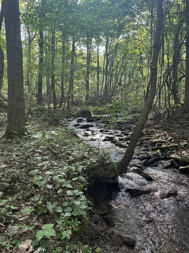 10 Best Hikes and Trails in Roaring Run Natural Area | AllTrails