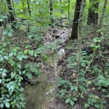 Core Arboretum Loop, West Virginia - 275 Reviews, Map | AllTrails