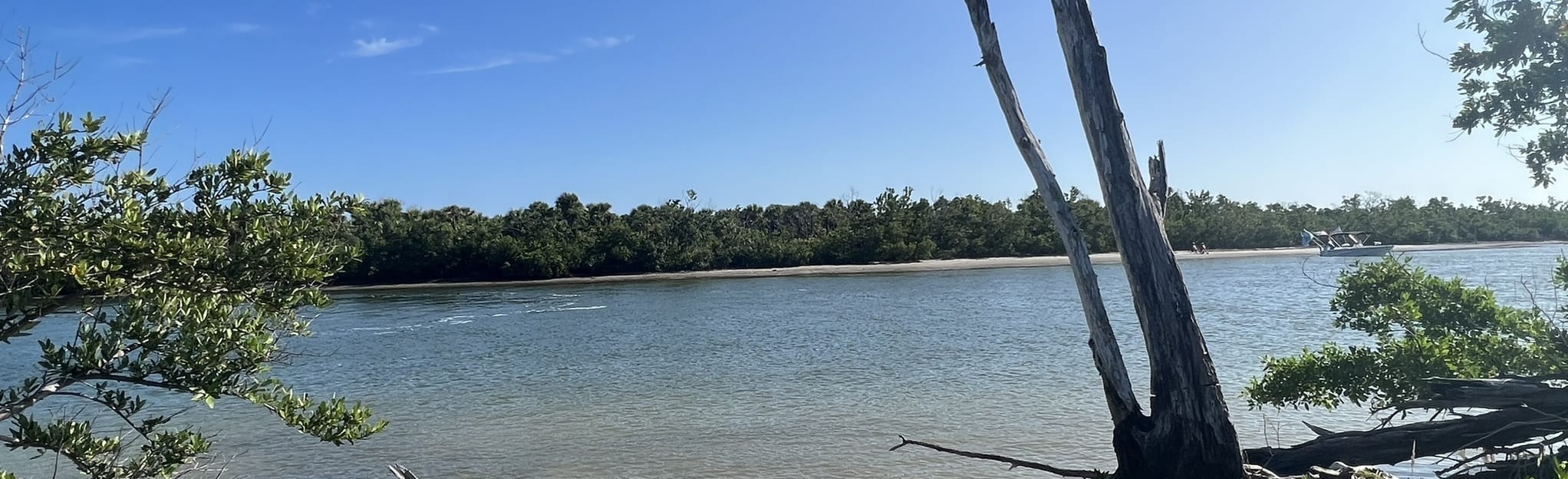 Stump Pass Beach Trail, Florida - 94 Reviews, Map | AllTrails