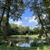 Redesmere and Capesthorne Circular, Cheshire, England - 134 Reviews ...