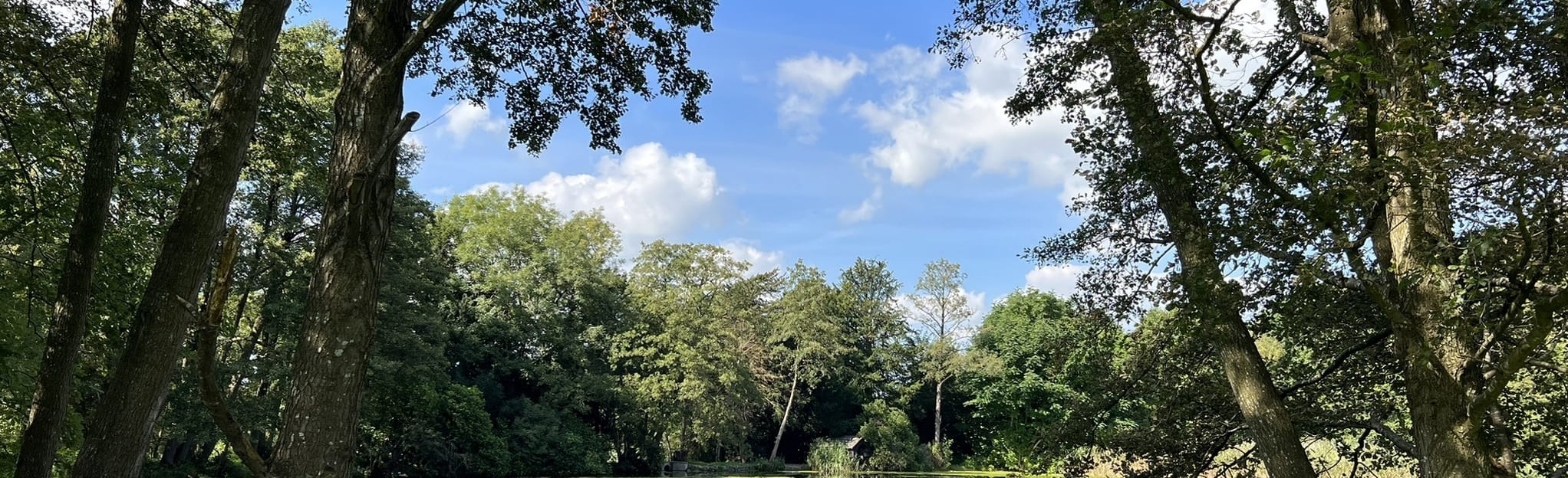 Redesmere and Capesthorne Circular, Cheshire, England - 91 Reviews, Map ...