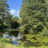 Redesmere and Capesthorne Circular, Cheshire, England - 134 Reviews ...