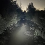 Bruce Trail: Niagara Section, Ontario, Canada - 396 Reviews, Map ...