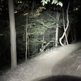 Bruce Trail: Niagara Section, Ontario, Canada - 396 Reviews, Map ...