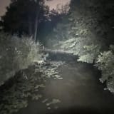 Bruce Trail: Niagara Section, Ontario, Canada - 396 Reviews, Map ...