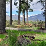 Paradyskloof Waterfall, Western Cape, South Africa - 707 Reviews, Map ...