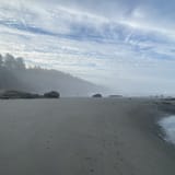 Kalaloch 4th Beach Trail, Washington - 337 Reviews, Map | AllTrails