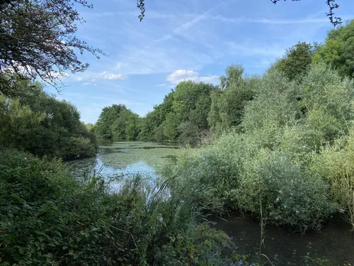 10 Best Trails, Walks, and Paths in Warrington | AllTrails