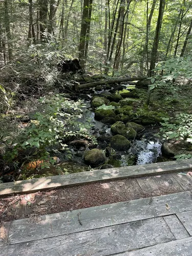 Best Hikes and Trails in Hammond Nature Preserve and Walker Forest ...