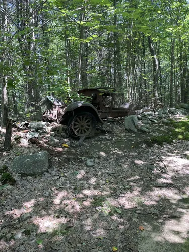 Best Hikes and Trails in Hammond Nature Preserve and Walker Forest ...