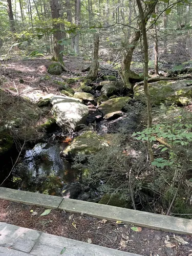 Best Hikes and Trails in Hammond Nature Preserve and Walker Forest ...