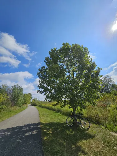 2023 Best Lake Trails in Arcola | AllTrails