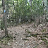 Scenic Trail Cut-off and Maiden Cliff Trail, Maine - 1,308 Reviews, Map ...