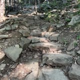 Scenic Trail Cut-off and Maiden Cliff Trail, Maine - 1,323 Reviews, Map ...