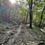 Scenic Trail Cut-off and Maiden Cliff Trail, Maine - 1,323 Reviews, Map ...