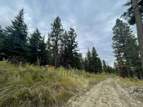 Best Hikes and Trails in Squilchuck State Park | AllTrails