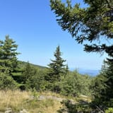 Brook Trail, New Hampshire - 1,197 Reviews, Map | AllTrails